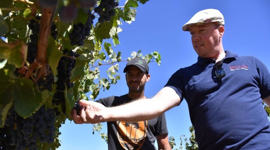 Alex Head's 2016 Releases - Best Yet?