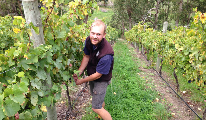 Murdoch Hill's Michael Downer on a Hot Streak